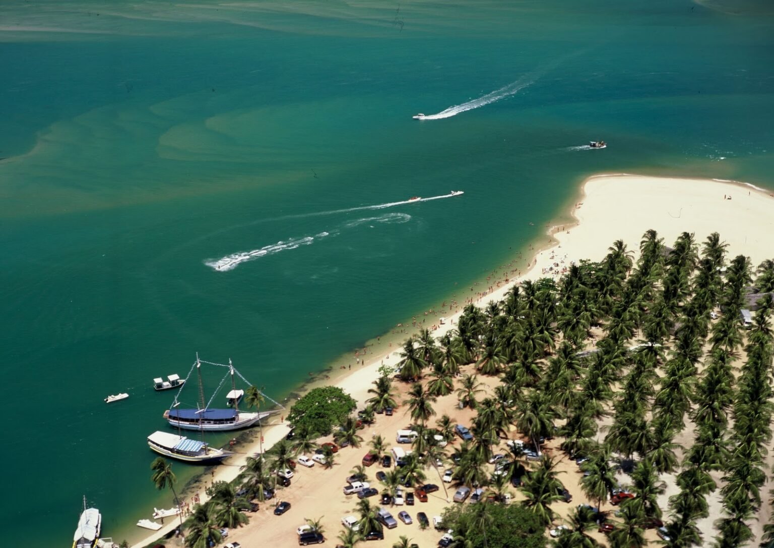 Praia do Gunga: O Paraíso de Alagoas Entre Falésias e Águas Cristalinas ...
